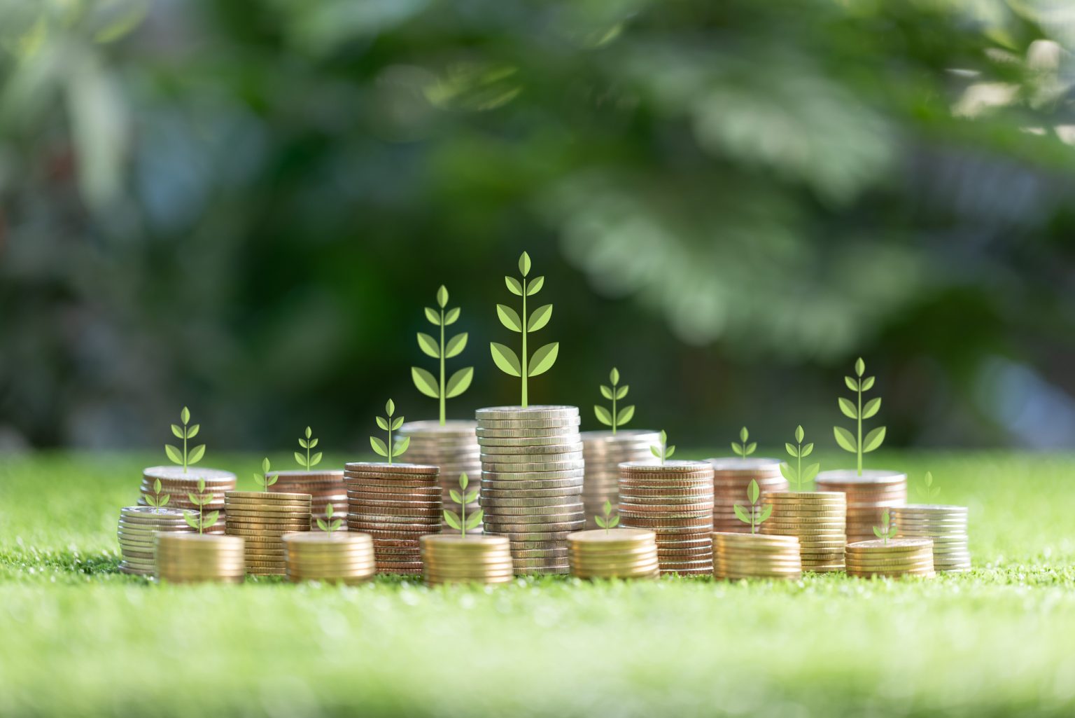 How to help your super grow faster | Nicole Heales
